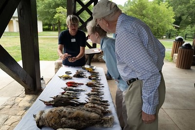 Robyn Puffenbarger – Professor, Biology and Environmental Science